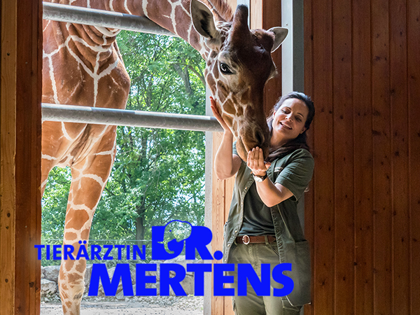 Die beliebte Serie "Tierärztin Dr. Mertens" auf Romance TV anschauen